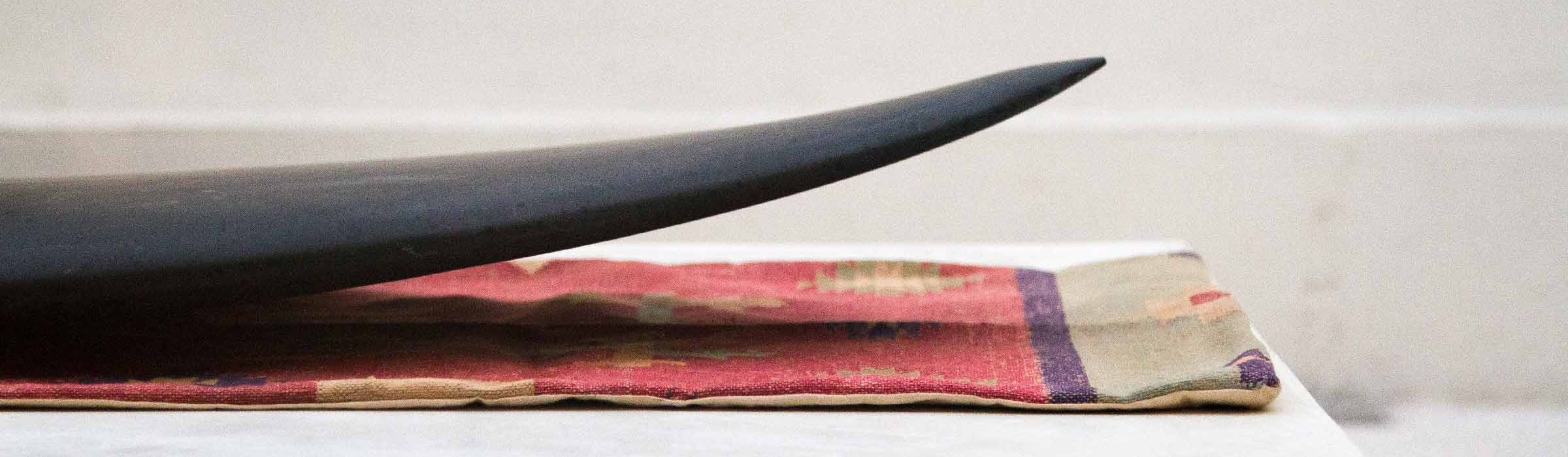 Understand The Surfboard's Rocker