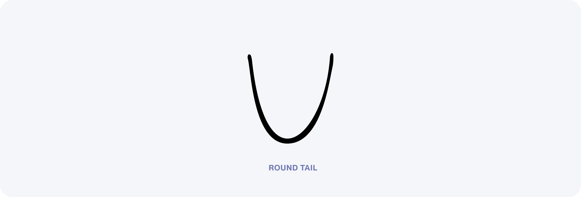 Different Surfboard Tail Shapes