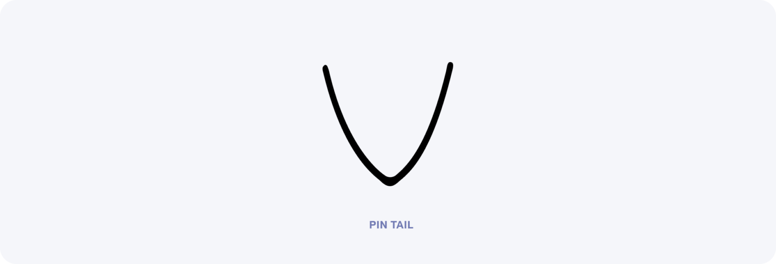 Different Surfboard Tail Shapes