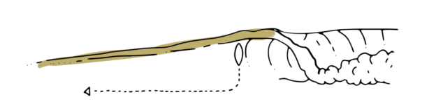 How to Angle your Take Off to go Left or Right on a Wave - Surf Tip