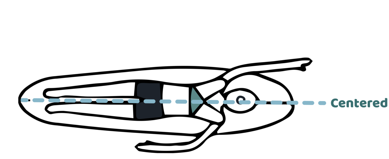 How to Paddle on a Surfboard