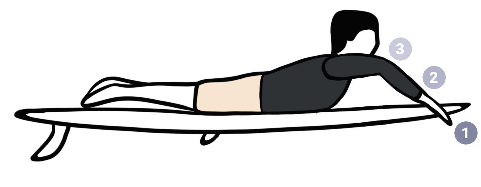 How to Paddle on a Surfboard